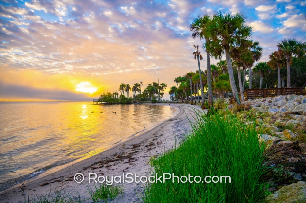 Showcase Captivating Coastal Activities at Castaways Point Park During ...