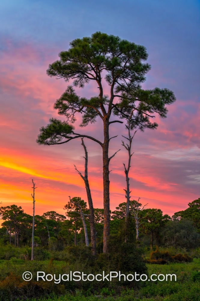 Majestic Sunsets Complement Waterfront Living Near Frenchmans Forest in ...