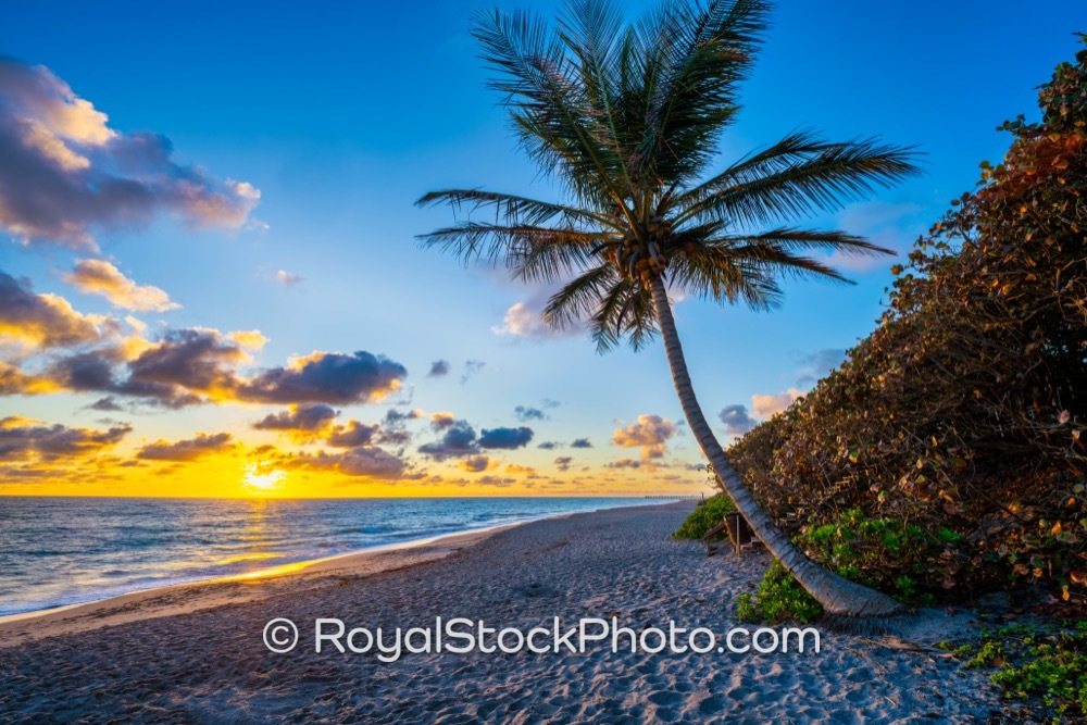 Exclusive Coastal Living Property Highlights Sunrise Views at Shower 33 ...