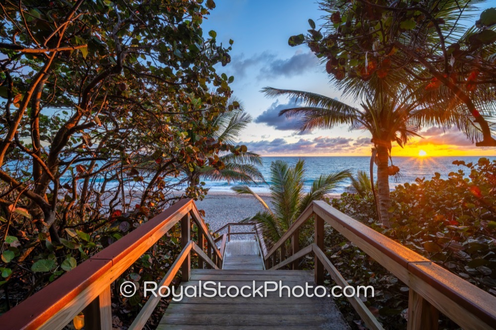 Inviting Coastal Pathway Showcases Morning Serenity Leading to Juno ...