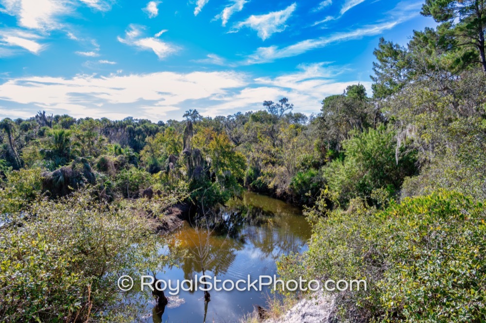 Preserve Natural Habitat and Support Local Wildlife at Turkey Creek ...