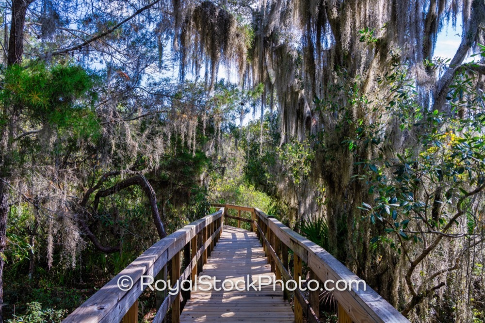 Inviting Boardwalk Pathways Enhance Outdoor Recreation Experience at ...