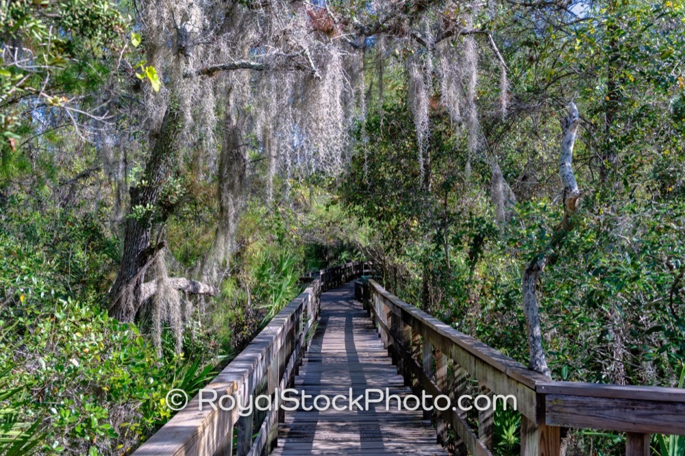Vibrant Nature Trails of Turkey Creek Sanctuary Invites Exploration ...