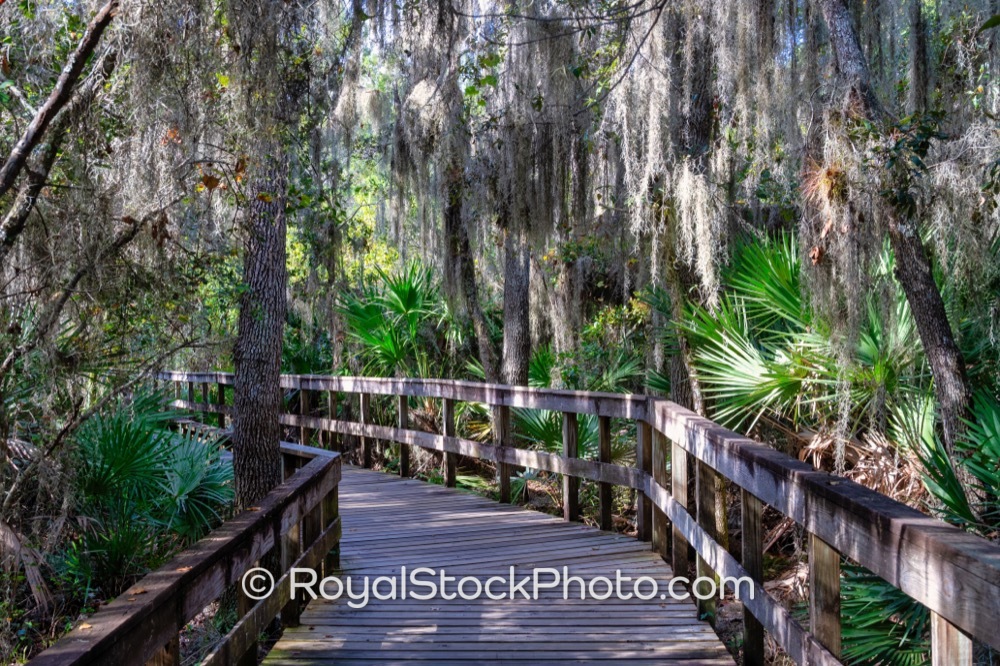 Authentic Florida Ecosystem Showcases Lush Wilderness Along Turkey ...