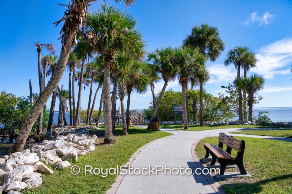 Coastal Ecosystem Highlights Natures Bounty at Castaways Point Park in ...
