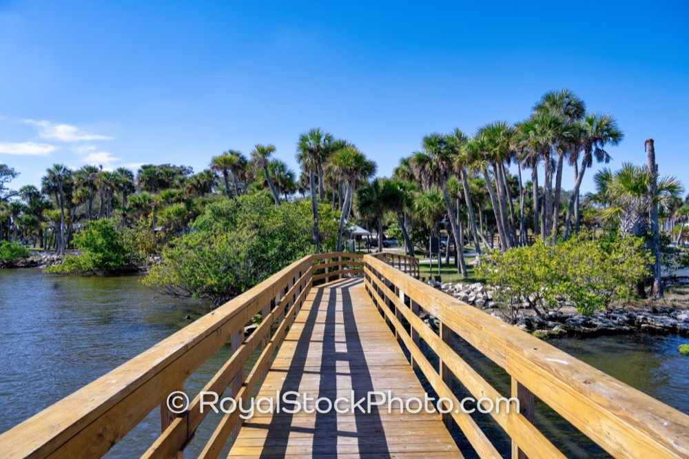 Coastal Biodiversity Flourishes Along the Boardwalk at Castaways Point ...